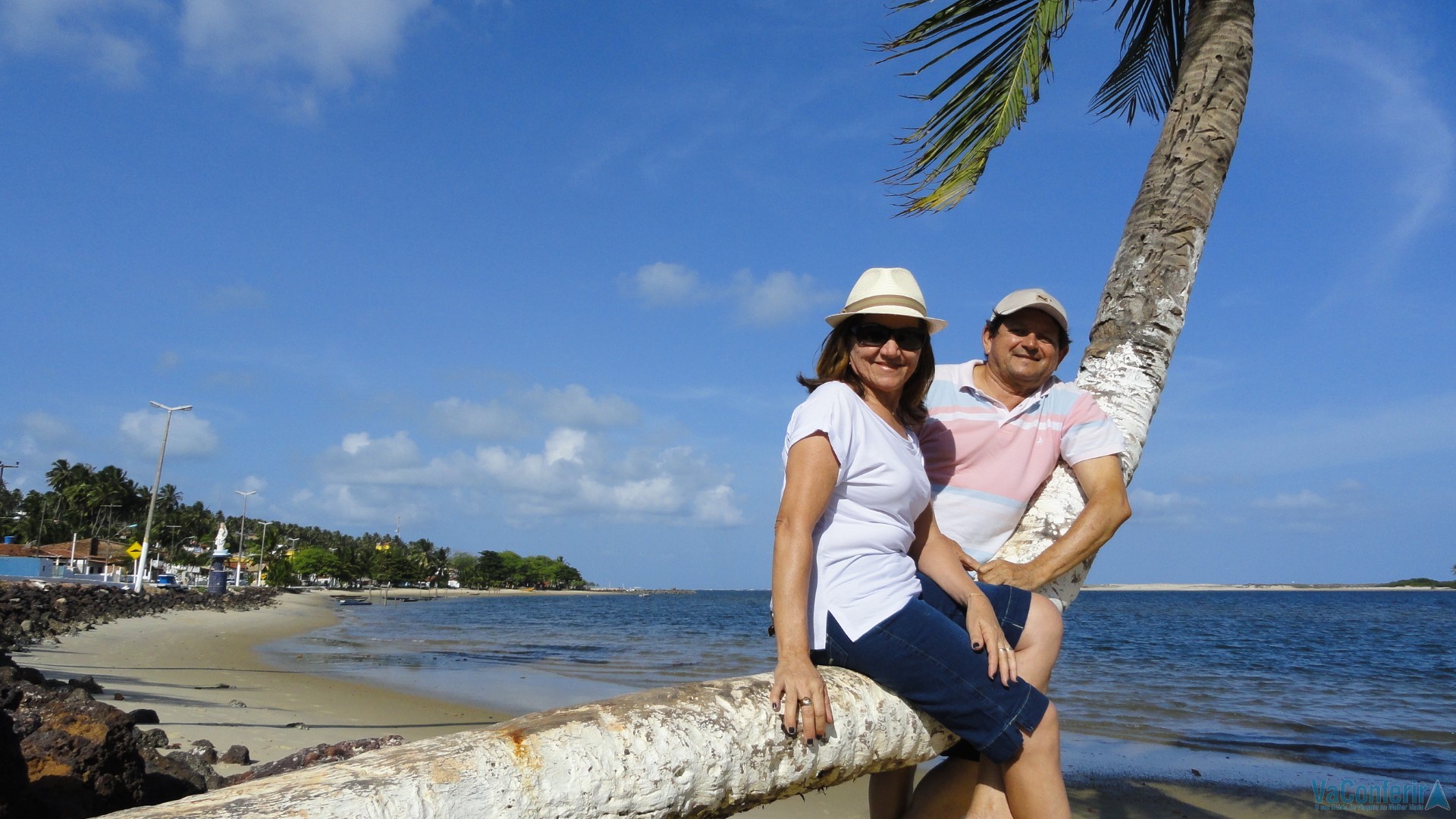 Água de coco na praia e os benefícios à saúde humana. - Vá e Confira